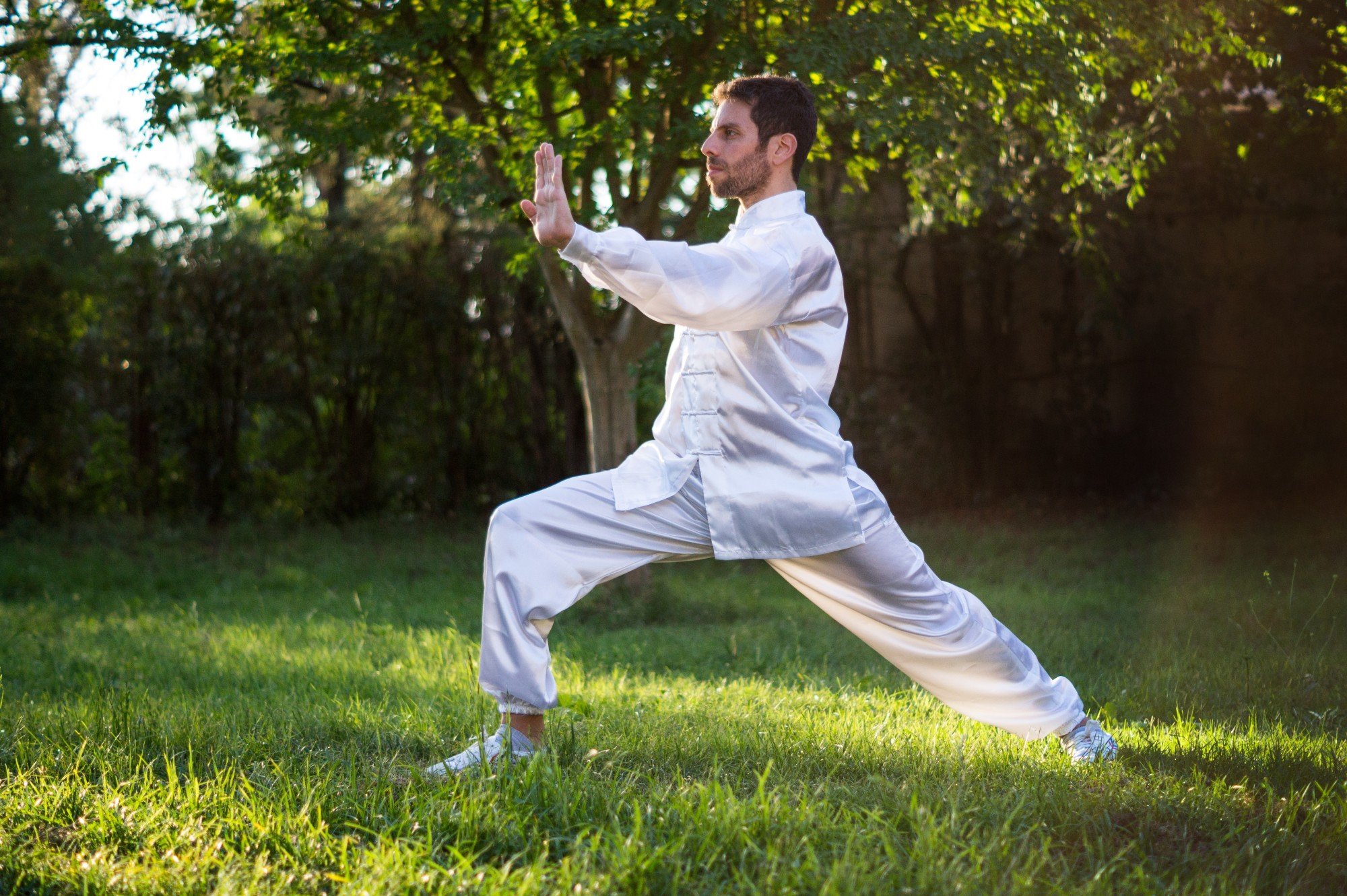 Tai Chi Certification: Master the Practice and Teach Others ...